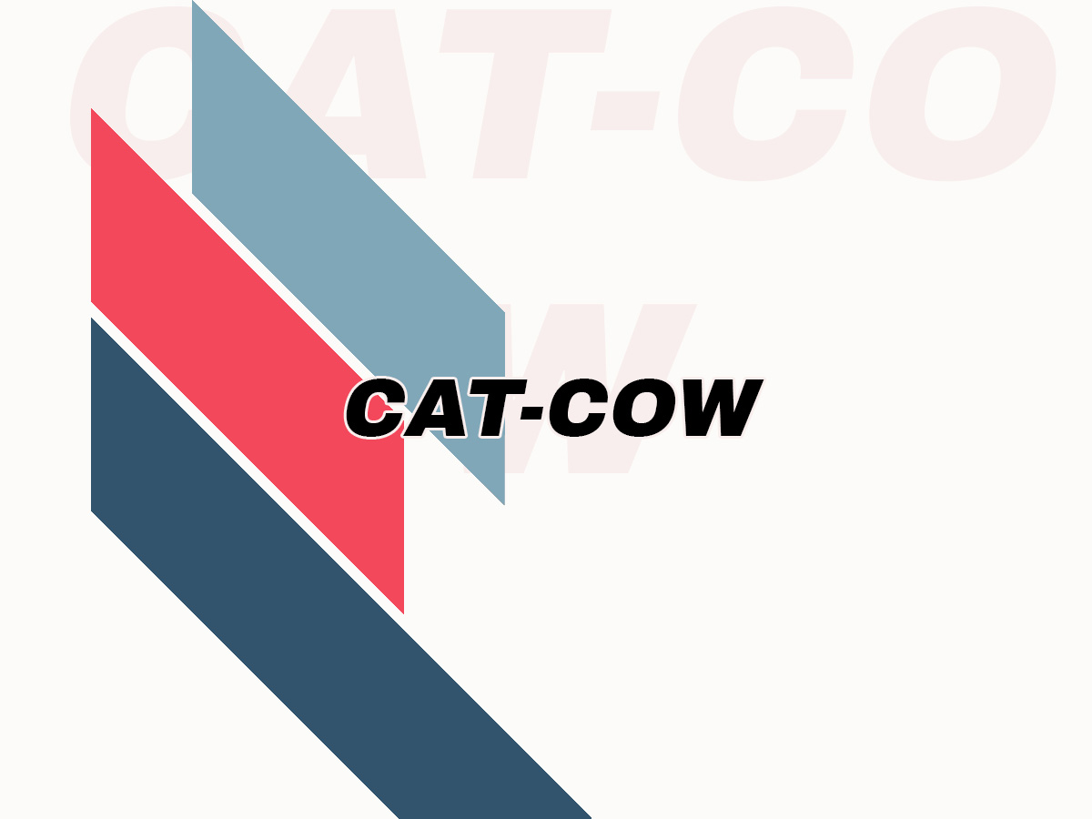 Cómo hacer el ejercicio 【 Cat-Cow